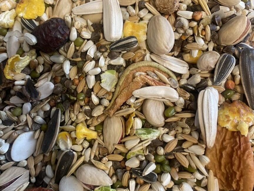 Корма для крупных/средних попугаев