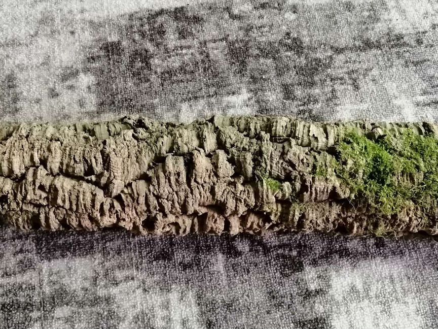 Кора пробкового дуба