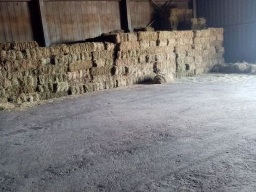 Сено, солома
