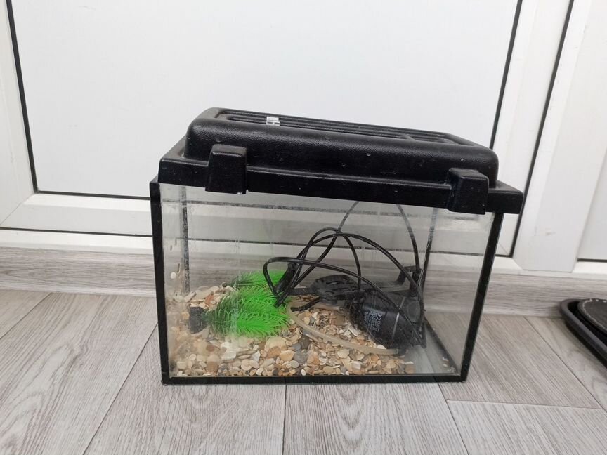 Аквариум 10л