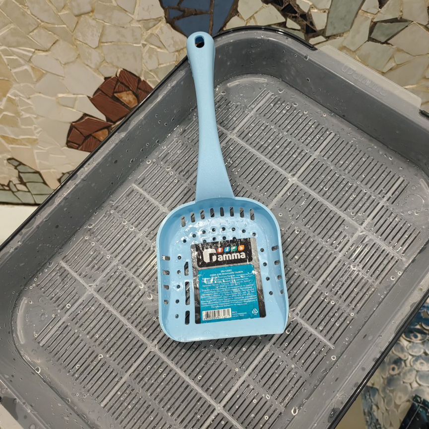 Лоток для котят