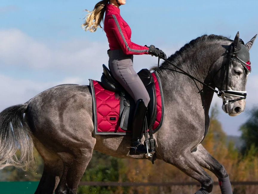 Вальтрап выездковый от Equestrian Stockholm