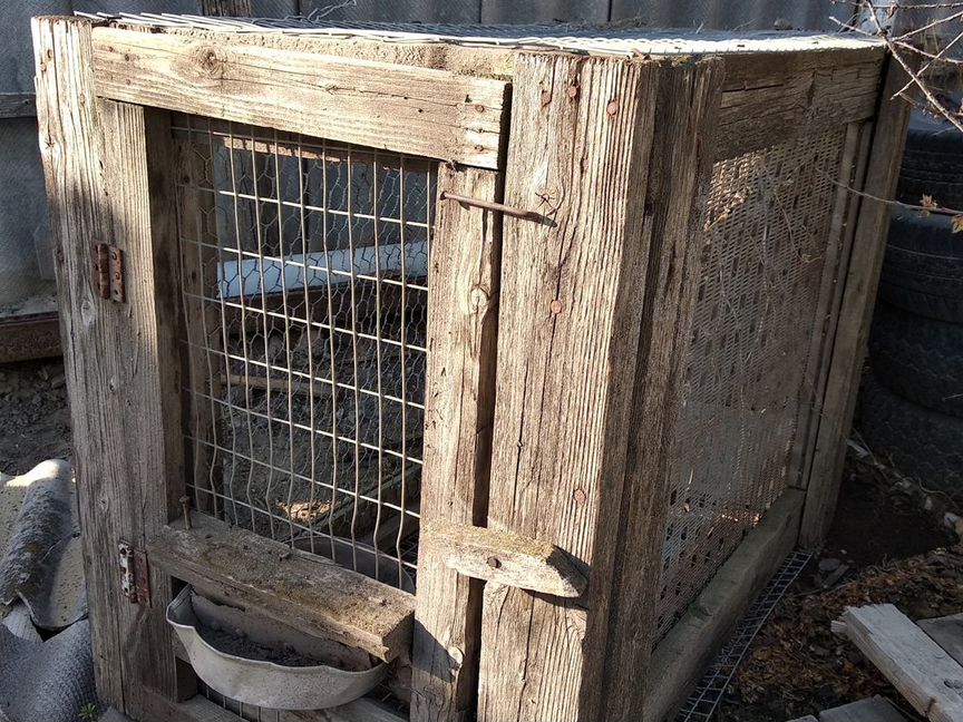 Клетка для нутрии, кролика