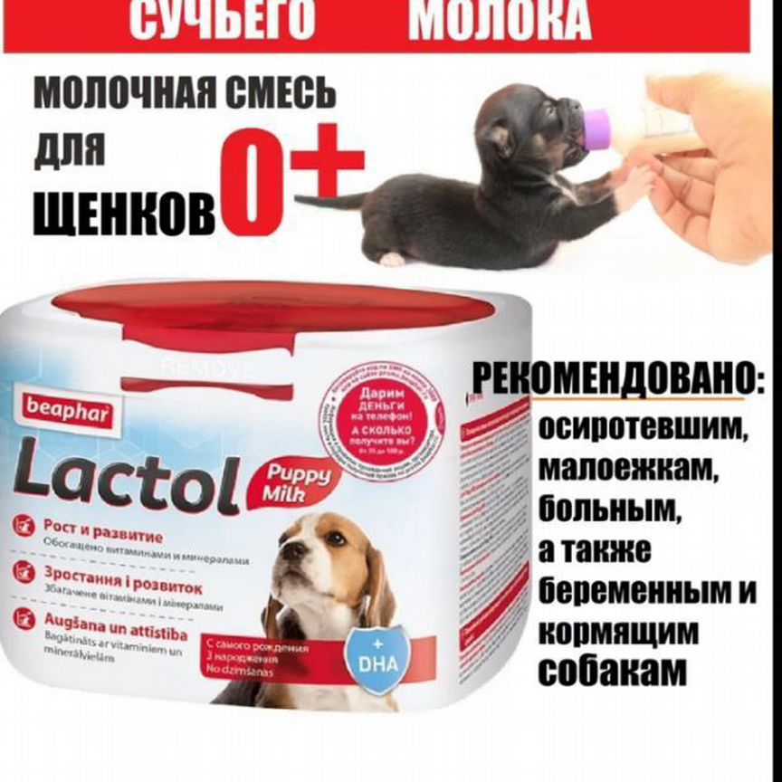 Сучье молоко для щенков