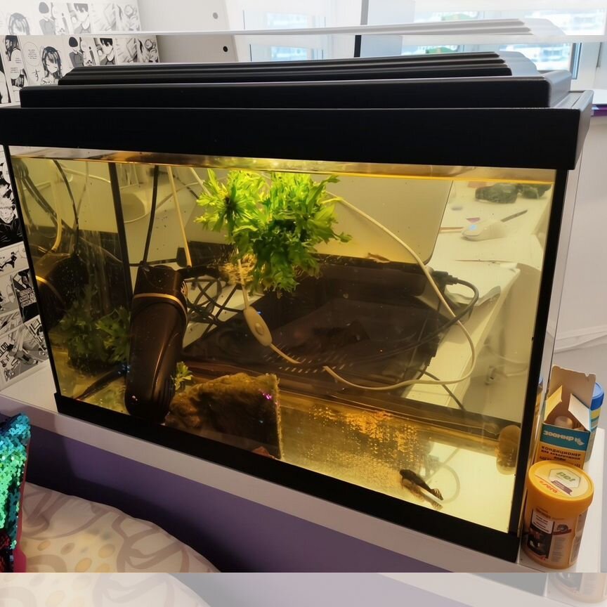 Аквариум 50л бу