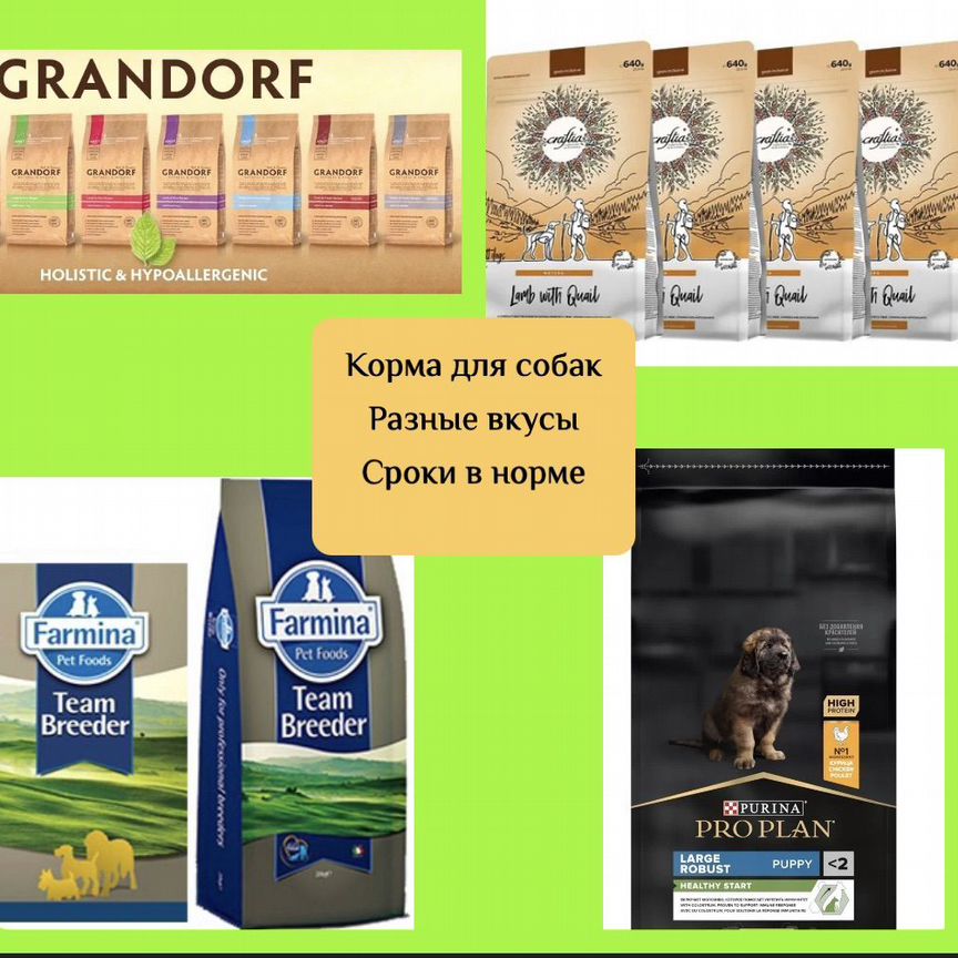 Корм для собак