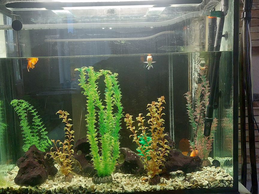 Продам большой аквариум 350 литров, со всем оборуд