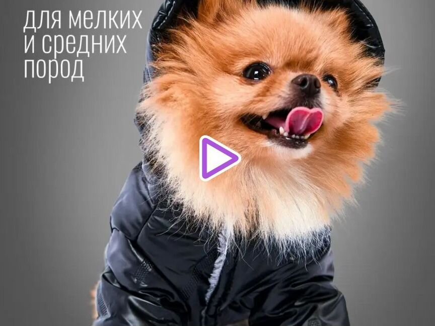 Тёплый комбинезон для собаки