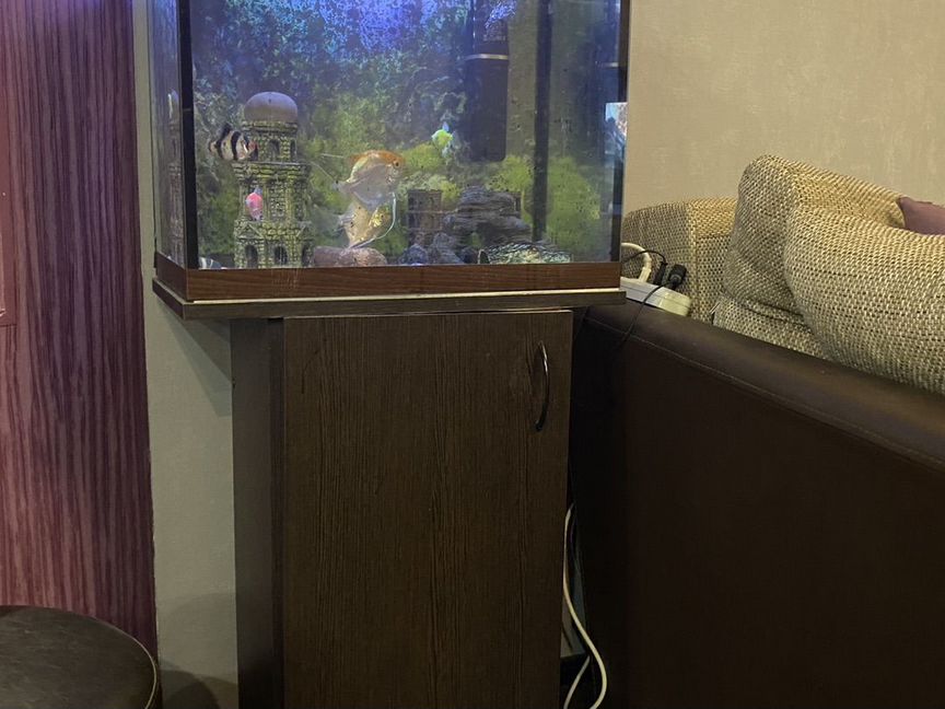 Аквариум с тумбой бу 60л