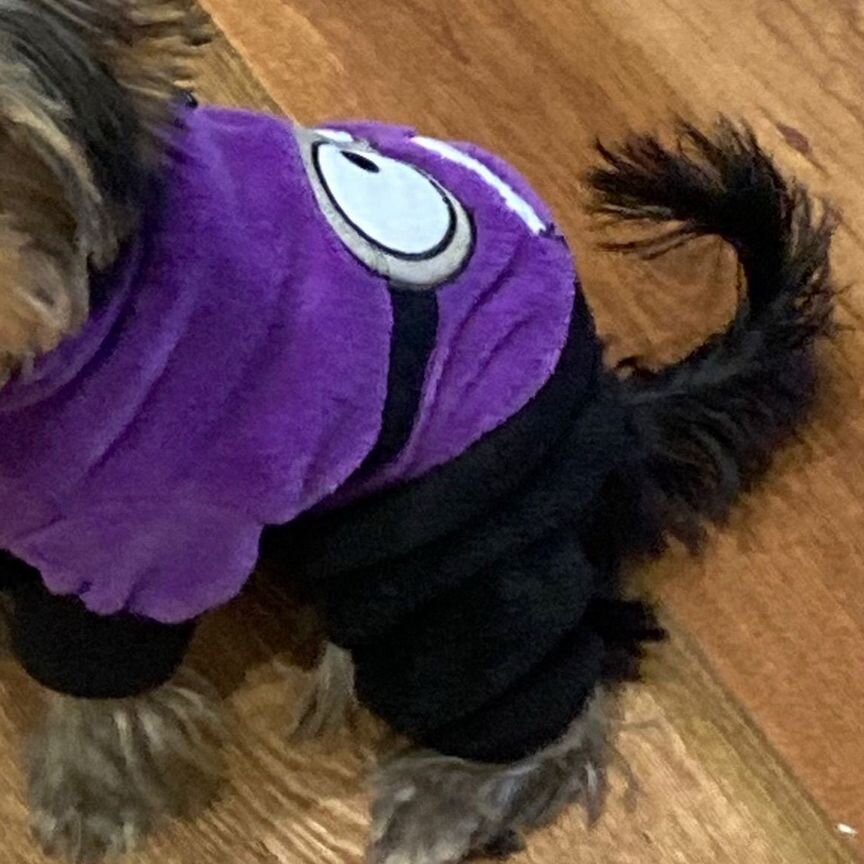 Комбинезон для собаки