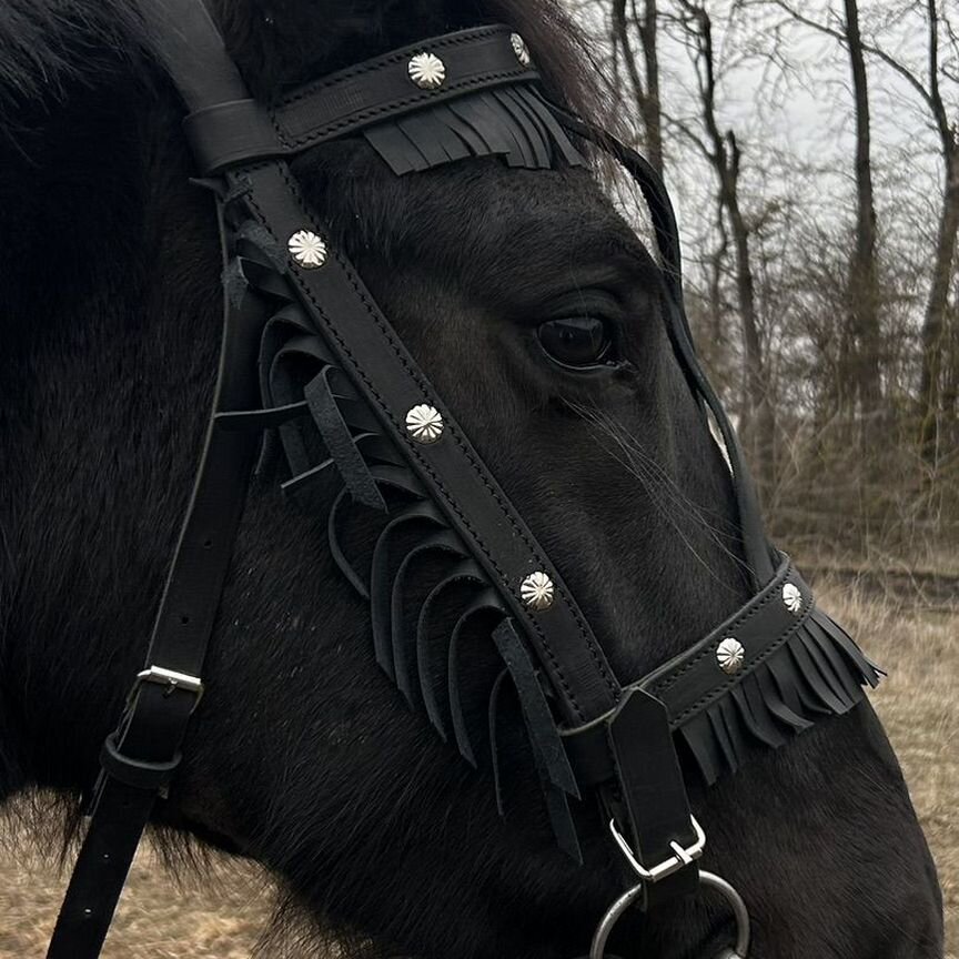 Уздечка для лошади