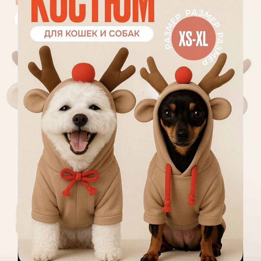 Костюм праздничный для кошек и собак