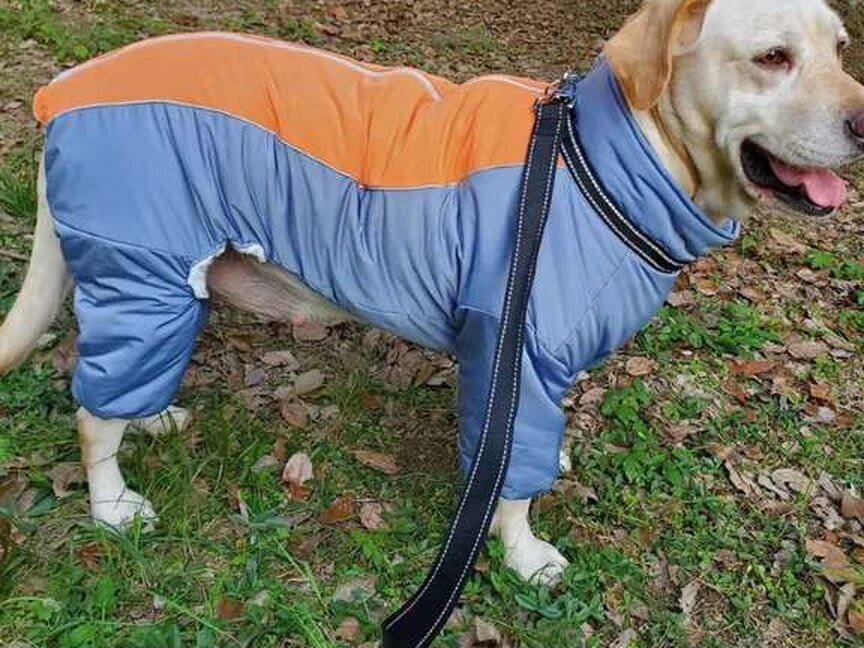 Зимний комбинезон новый
