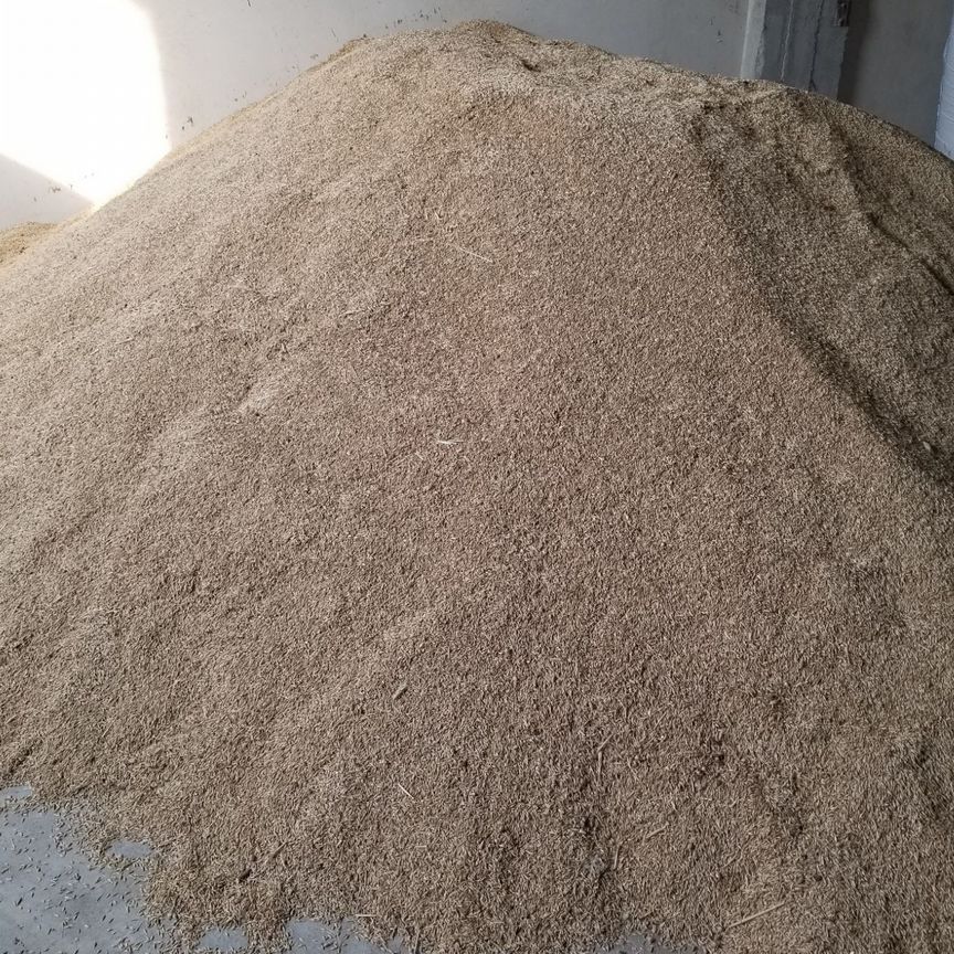 Зерно пшеница ячмень