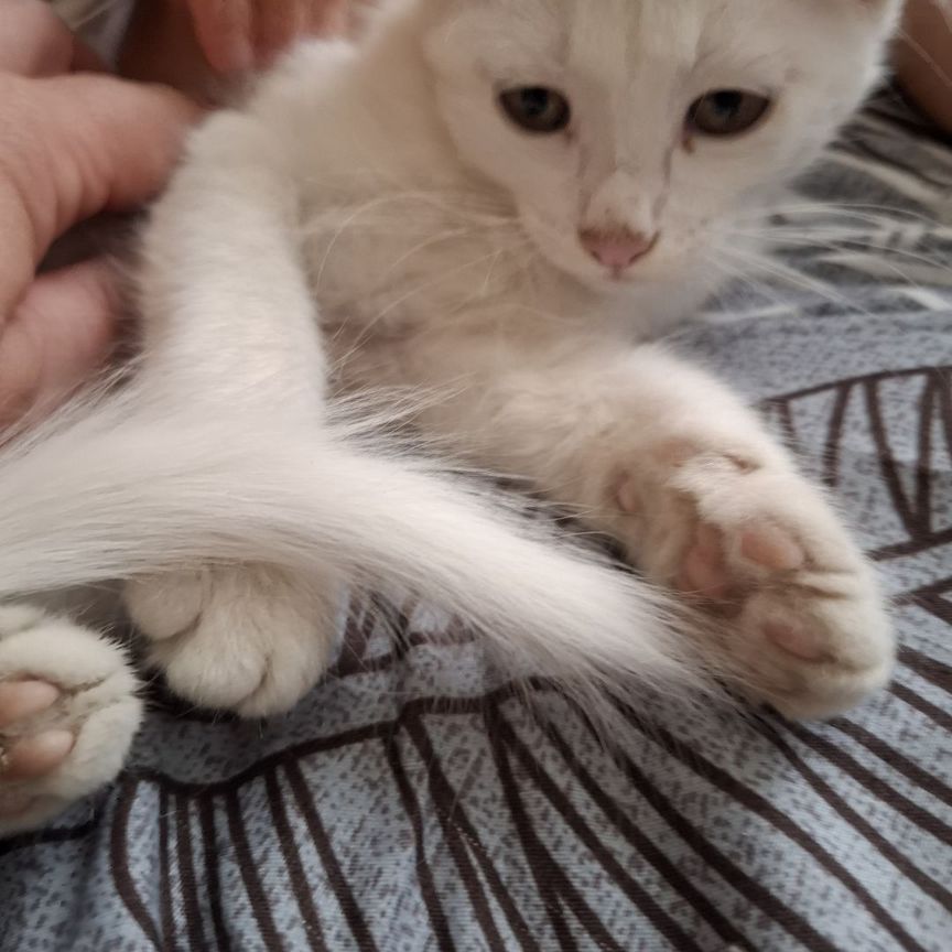 Чудесный парень