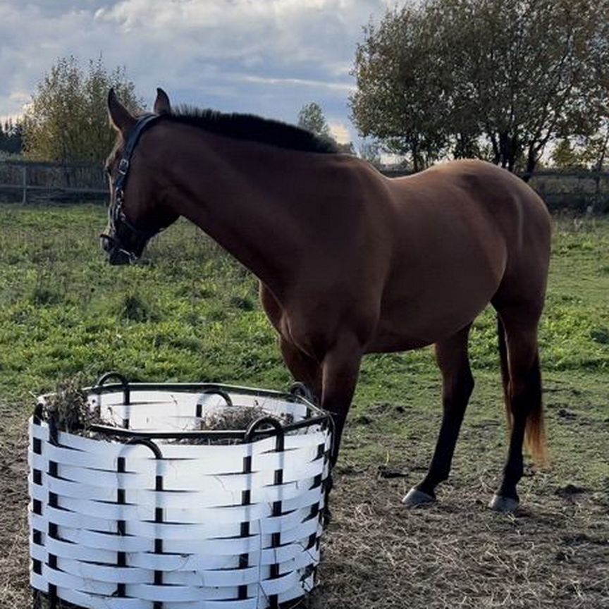 Кормушка-корзина для сена в леваду