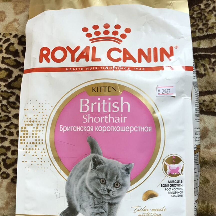 Корм для котят royal canin