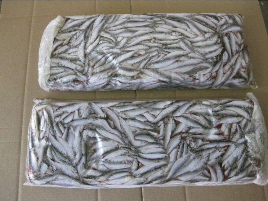 Килька на корм животным