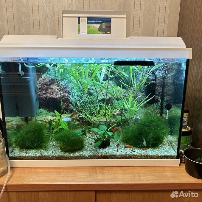 Аквариум Juwel 70л