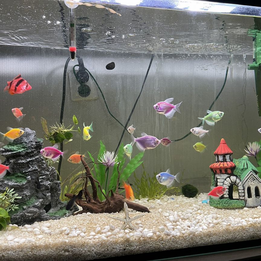 Аквариум с рыбками 150л
