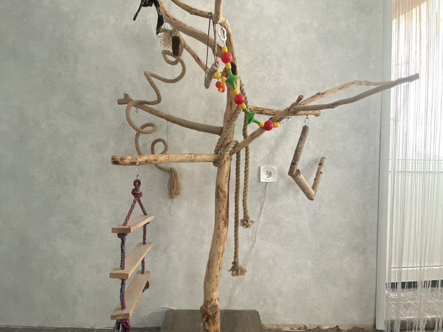 Присада для попугая