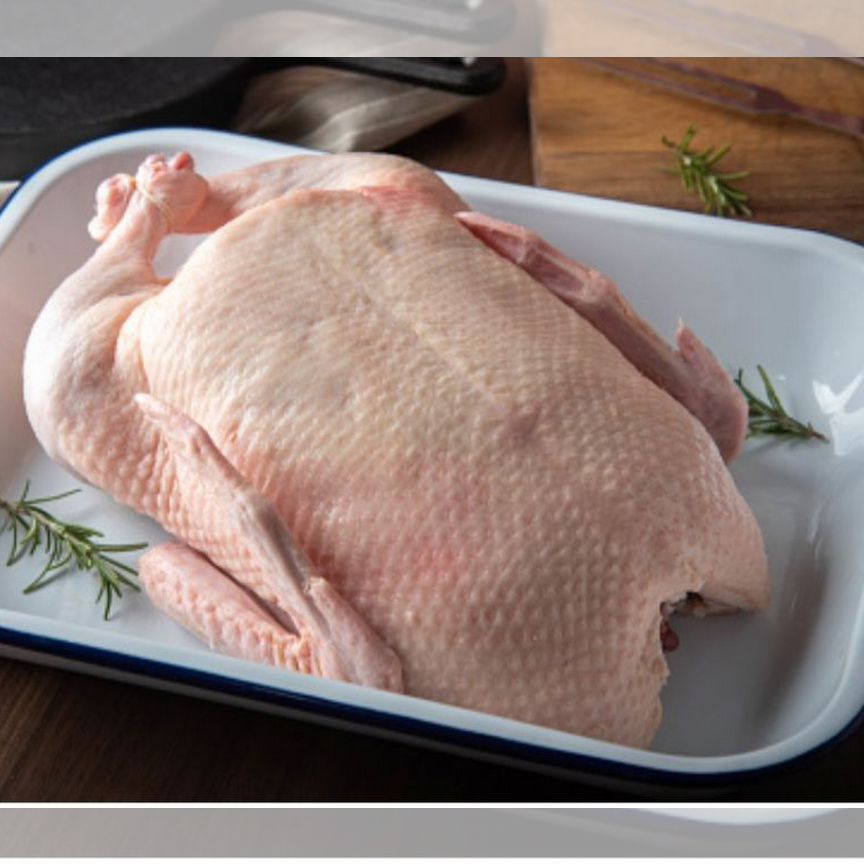 Ощипывание птицы