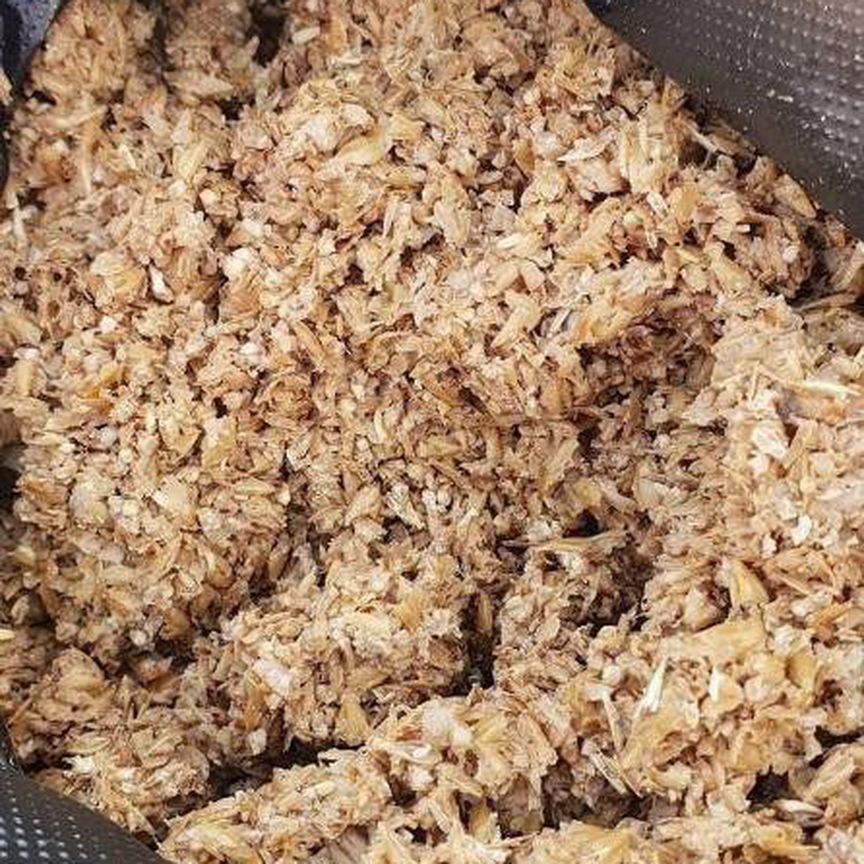 Пивная дробина влажная