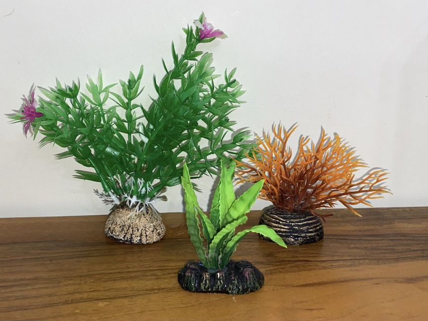 Авариумные растения