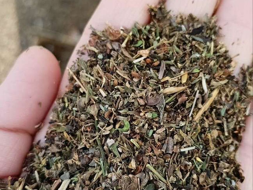 Корм для животных