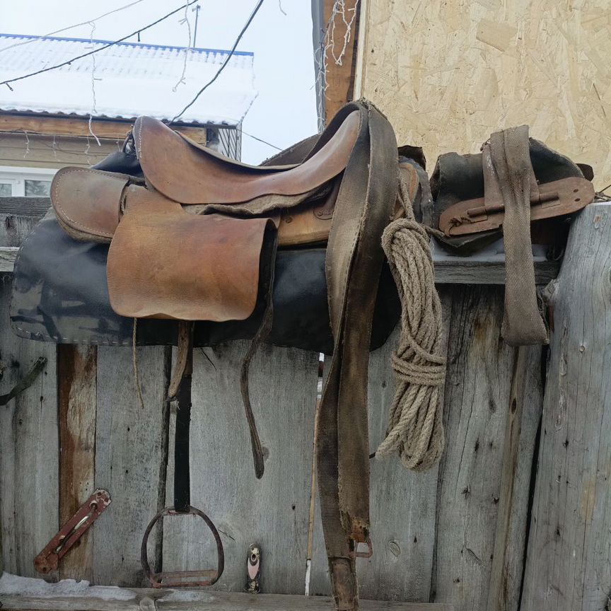 Продам все на лошадь