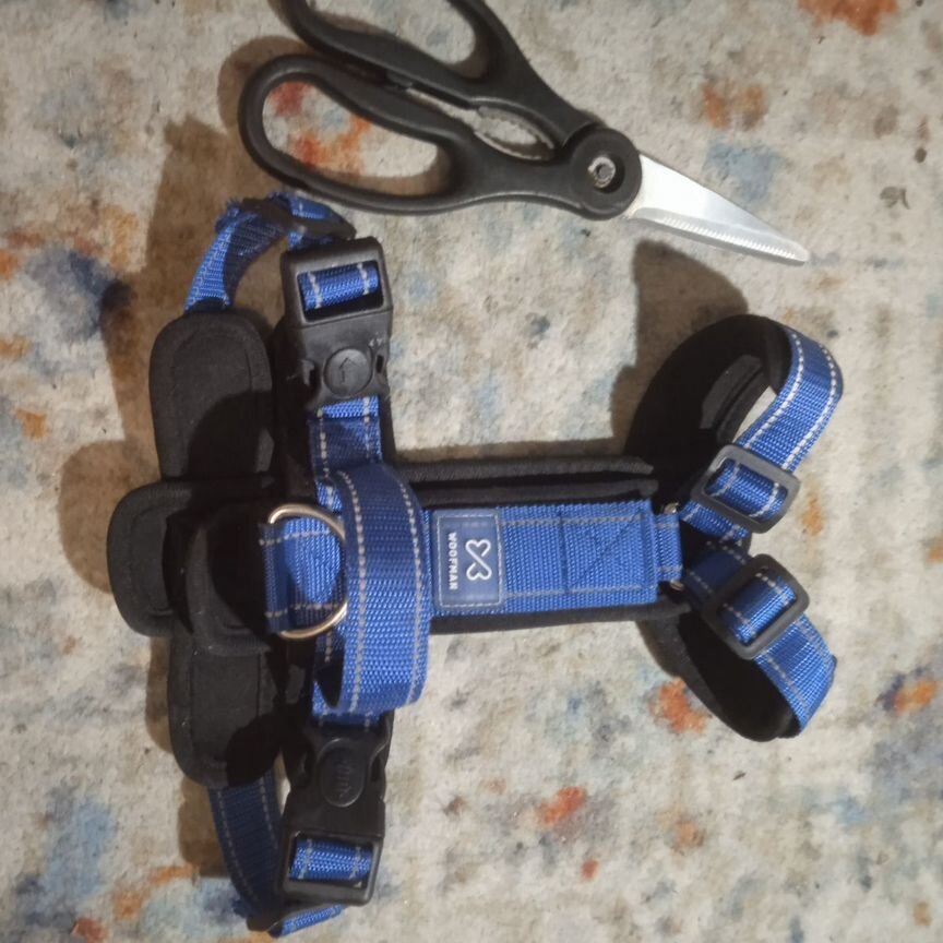 Шлейка для пёсика