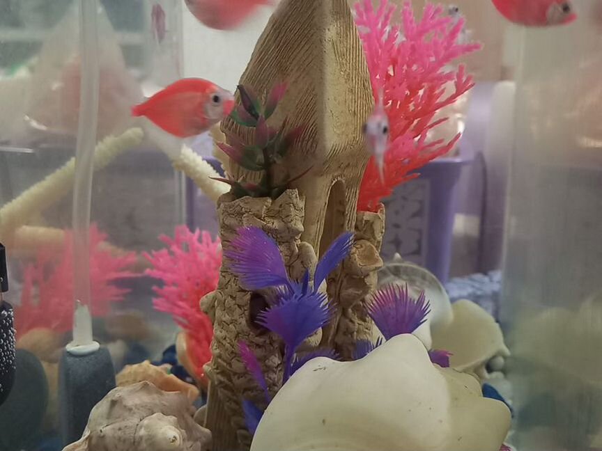 Аквариум с рыбками