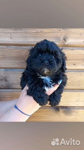 Мультипу чёрный мальчик