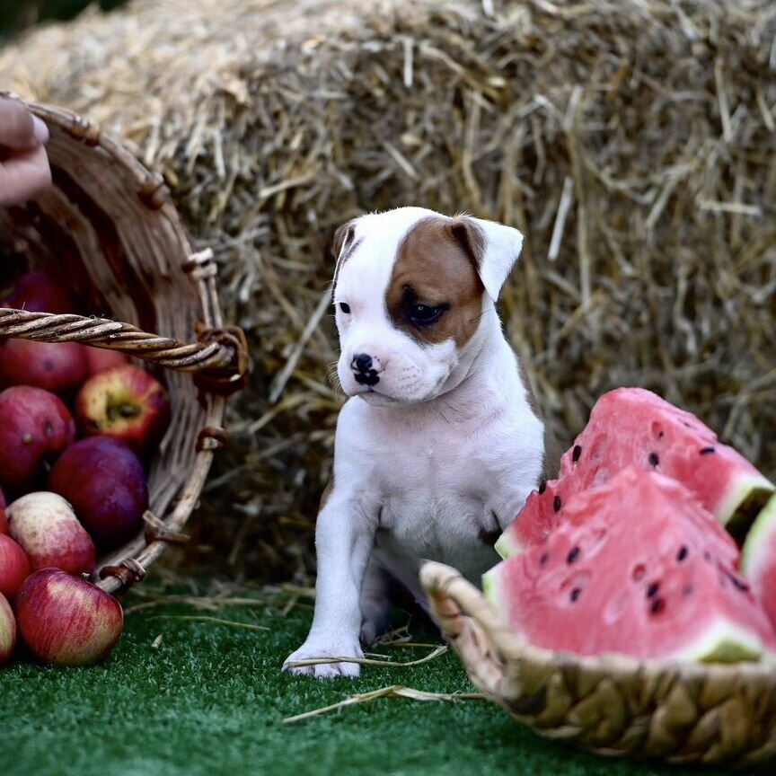 Красивый яркий мальчик