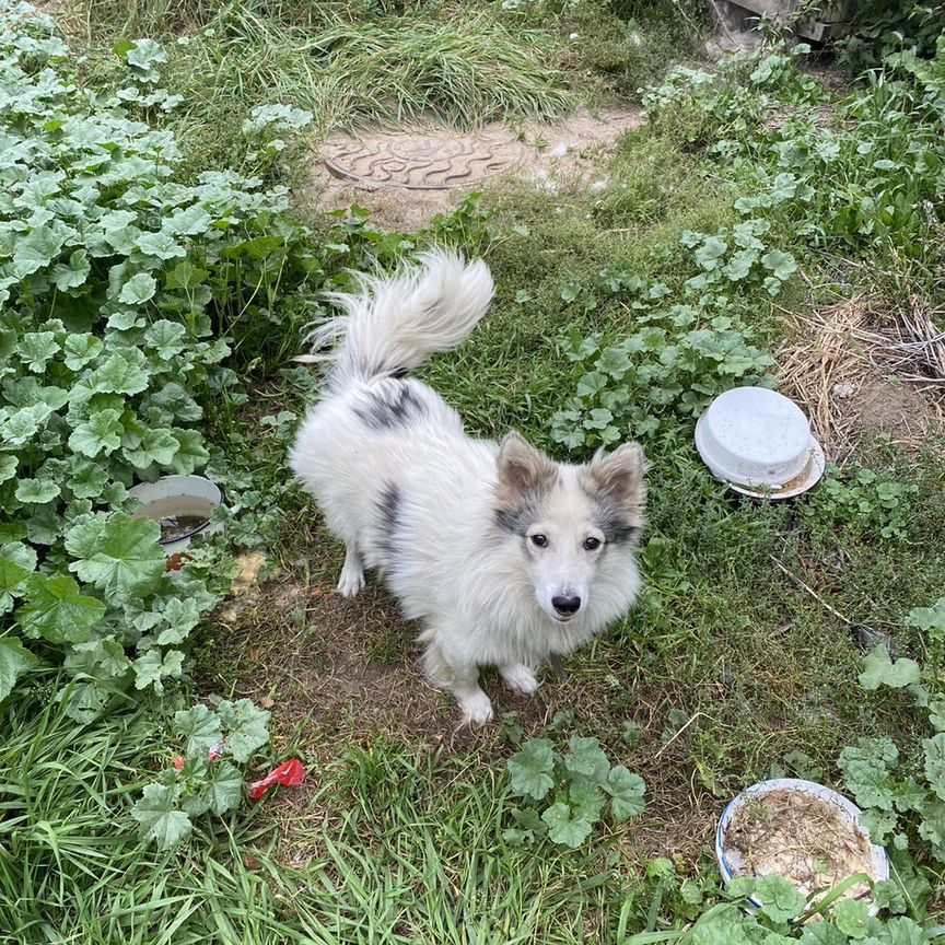 Боня все еще ждет