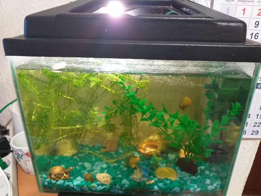 Украшение для аквариума