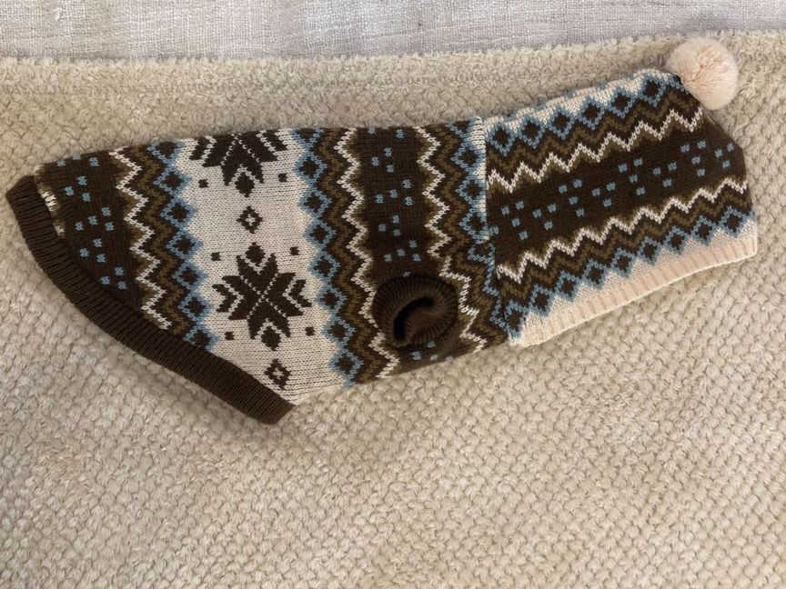 Свитер с капюшоном для собаки