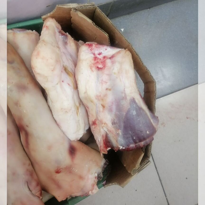 Продукты питания для животных