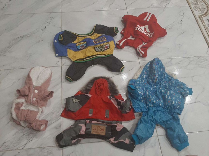 Одежда для собак 25см по спинке