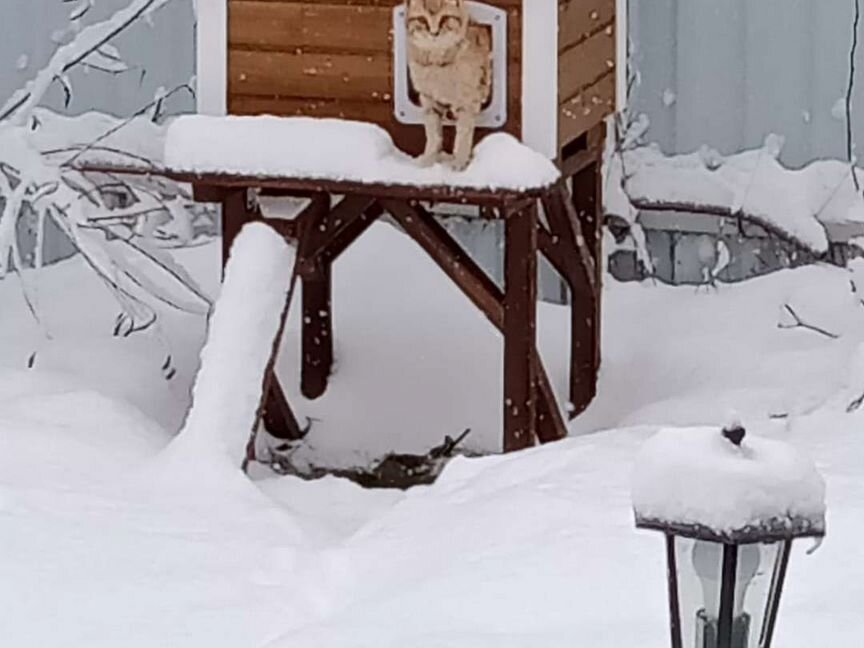 Уличный домик для кошки Мини Мелисса