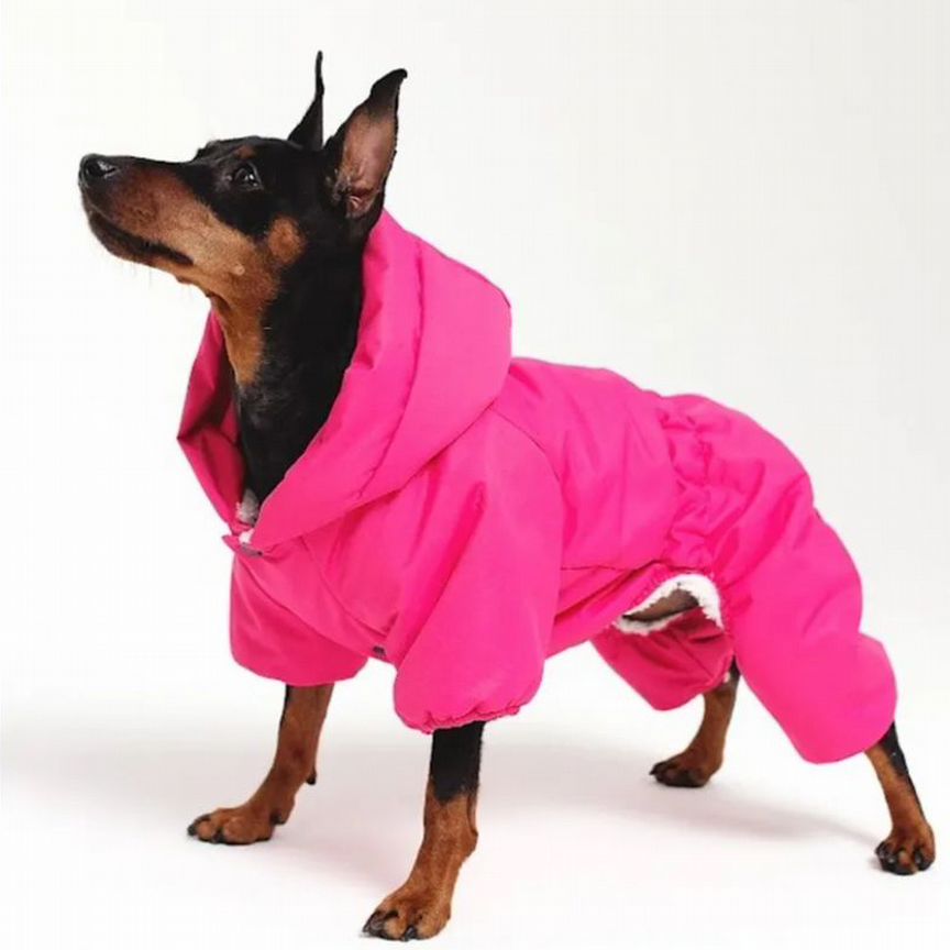 Зимняя одежда для собак