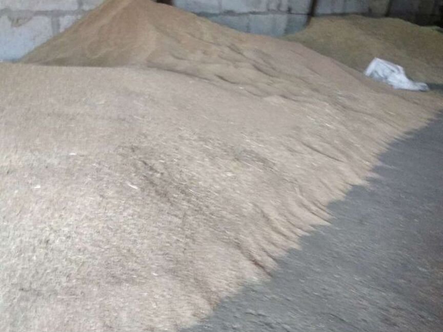 Ячмень,рожь, третикалий