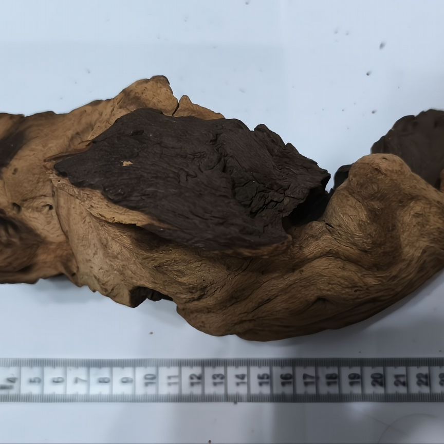 Коряга в аквариум натуральная