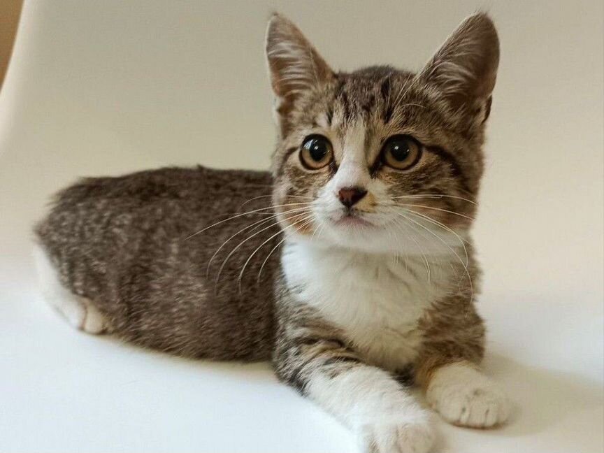 Шанс на счастливую жизнь малышке