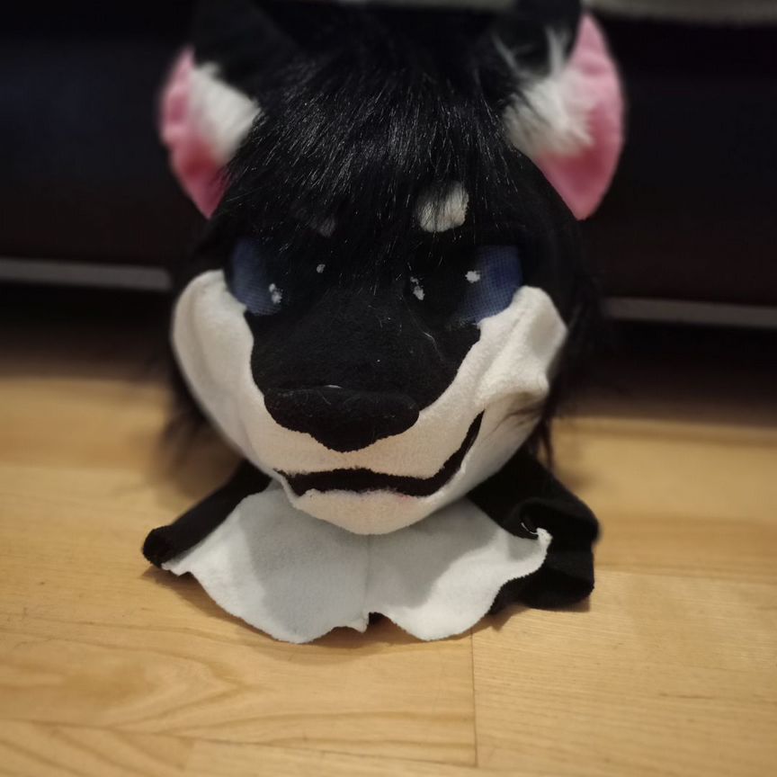 Кот продажа