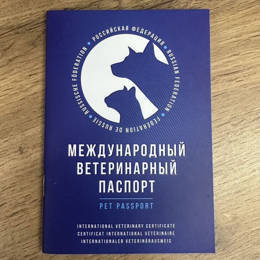 Ветеринарный паспорт для кошки/собаки
