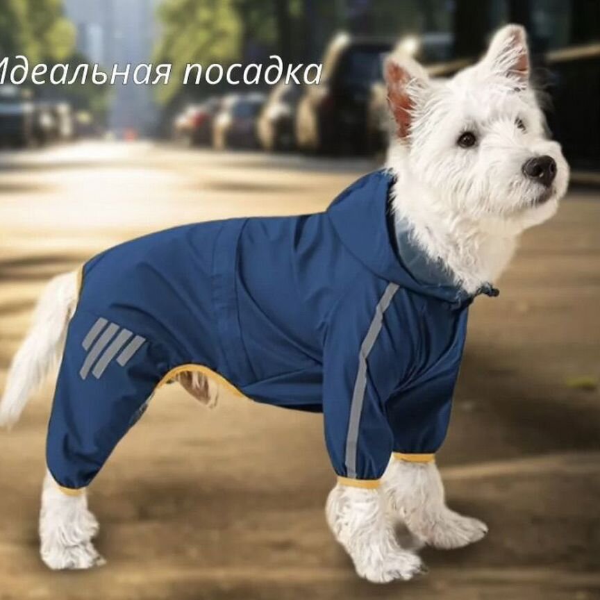 Дождевик для собаки