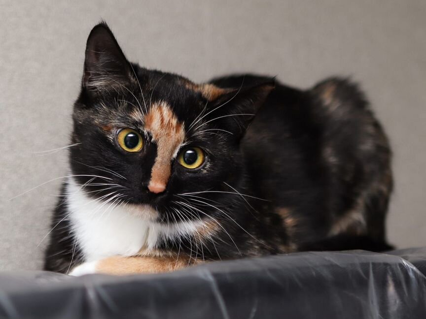 Яну никто не замечает