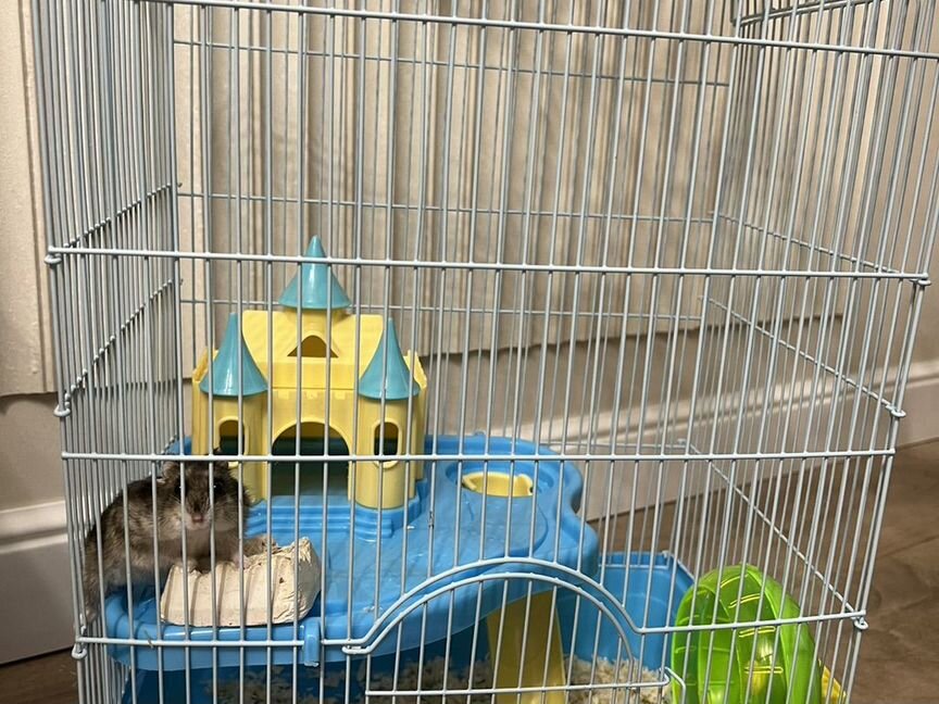 Клетка для грызунов хомяк