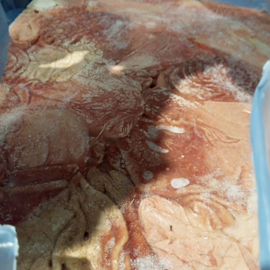 Субпродукты для собак